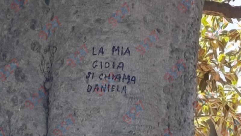 Paternò, mistero risolto: adesso sappiamo come si chiama la sua gioia ...